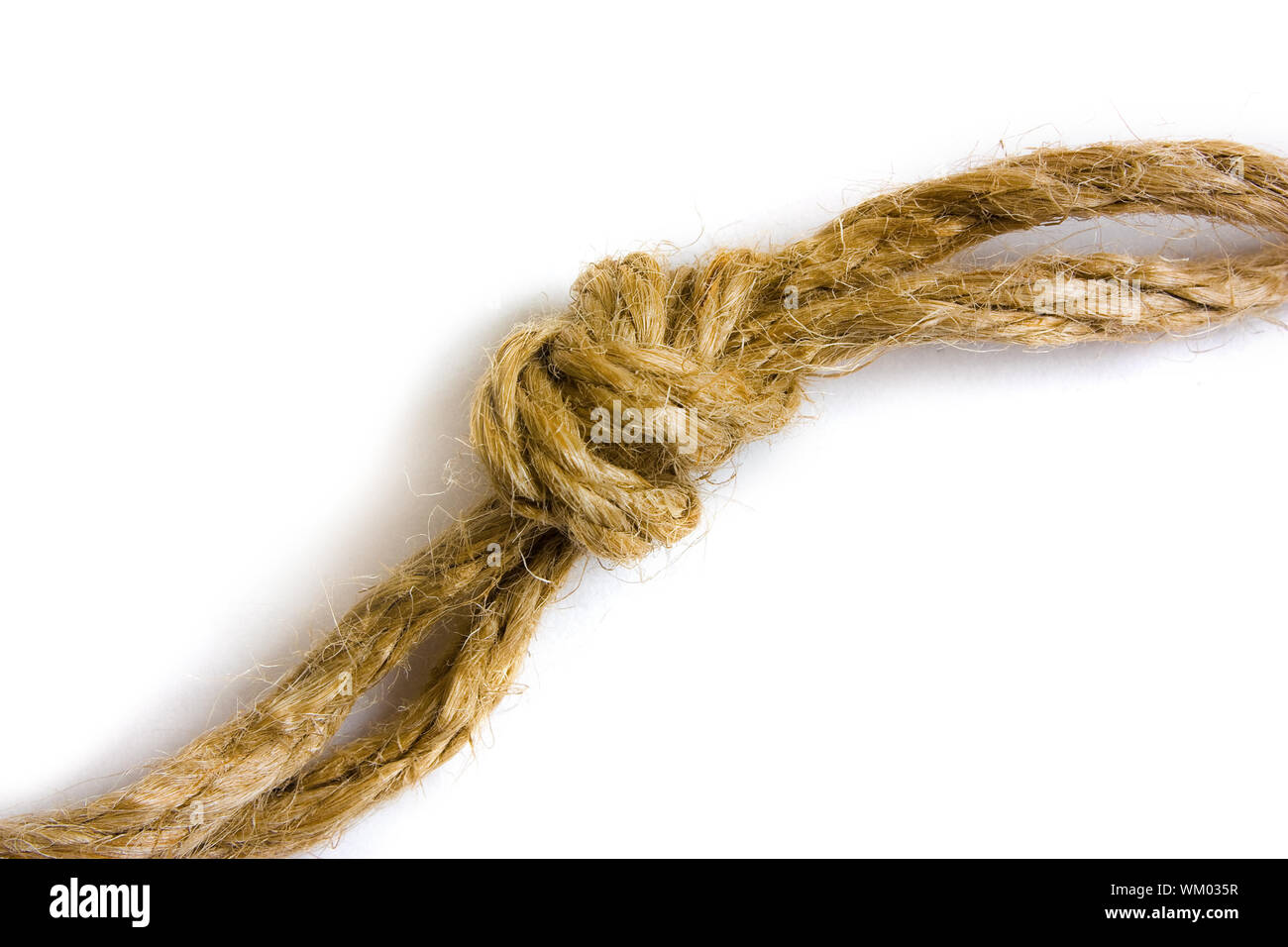 strong knot tied by a rope isolated on a white background Stock Photo ...