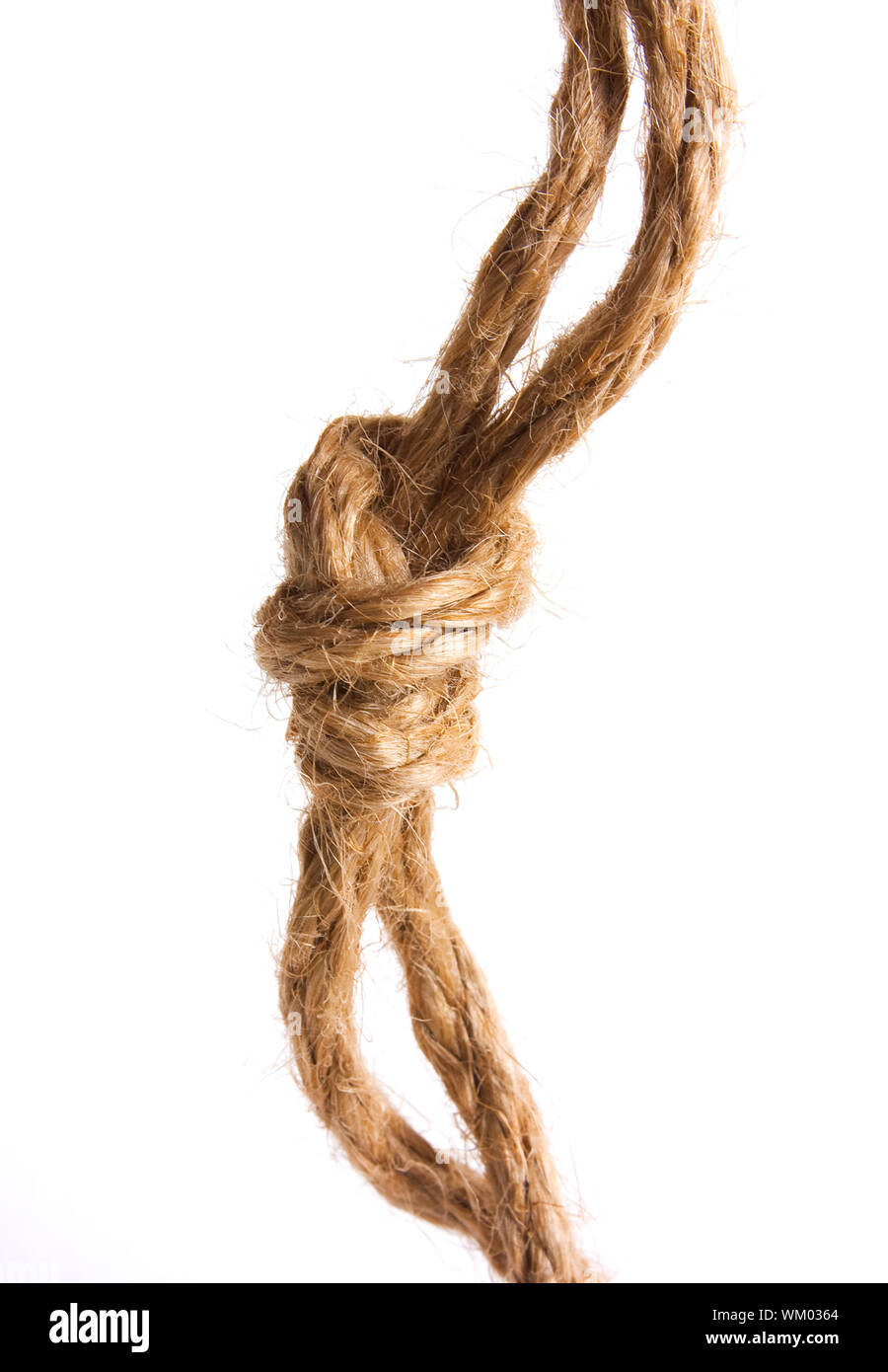 strong knot tied by a rope isolated on a white background Stock Photo ...