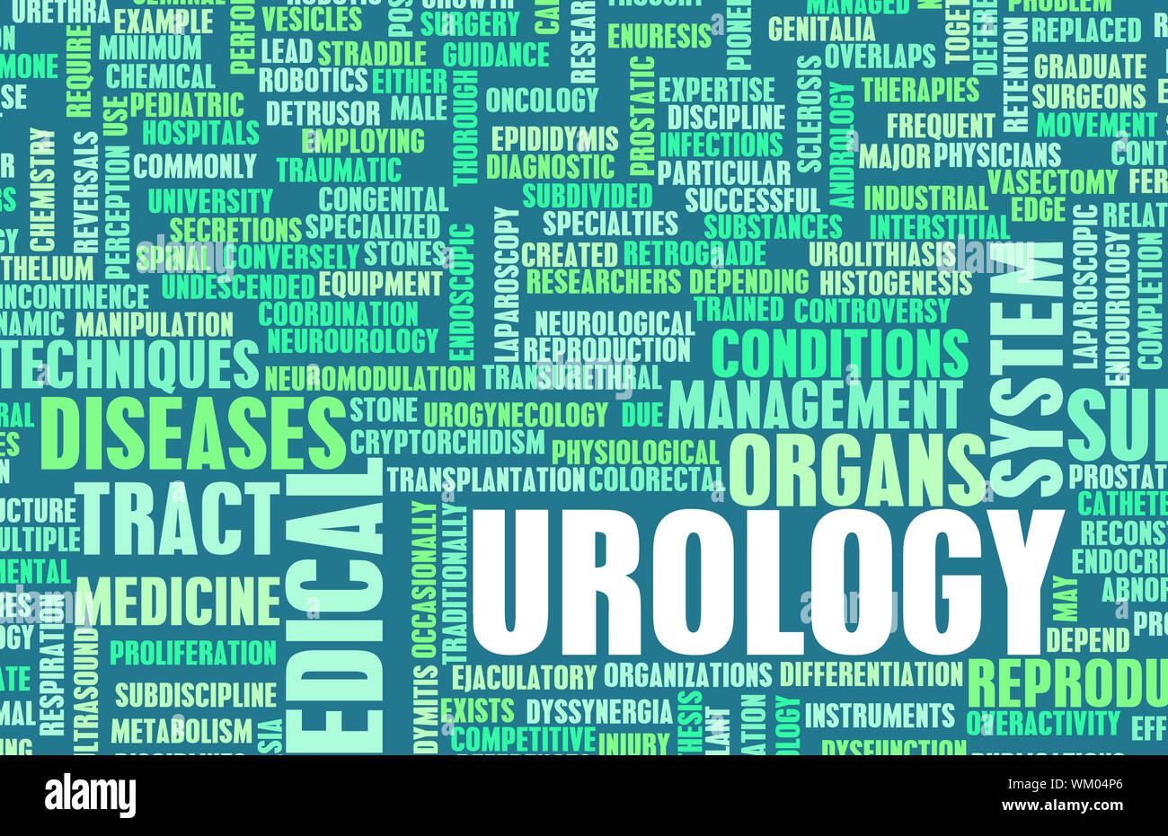 Urology specialist doctor hi-res stock photography and images - Alamy