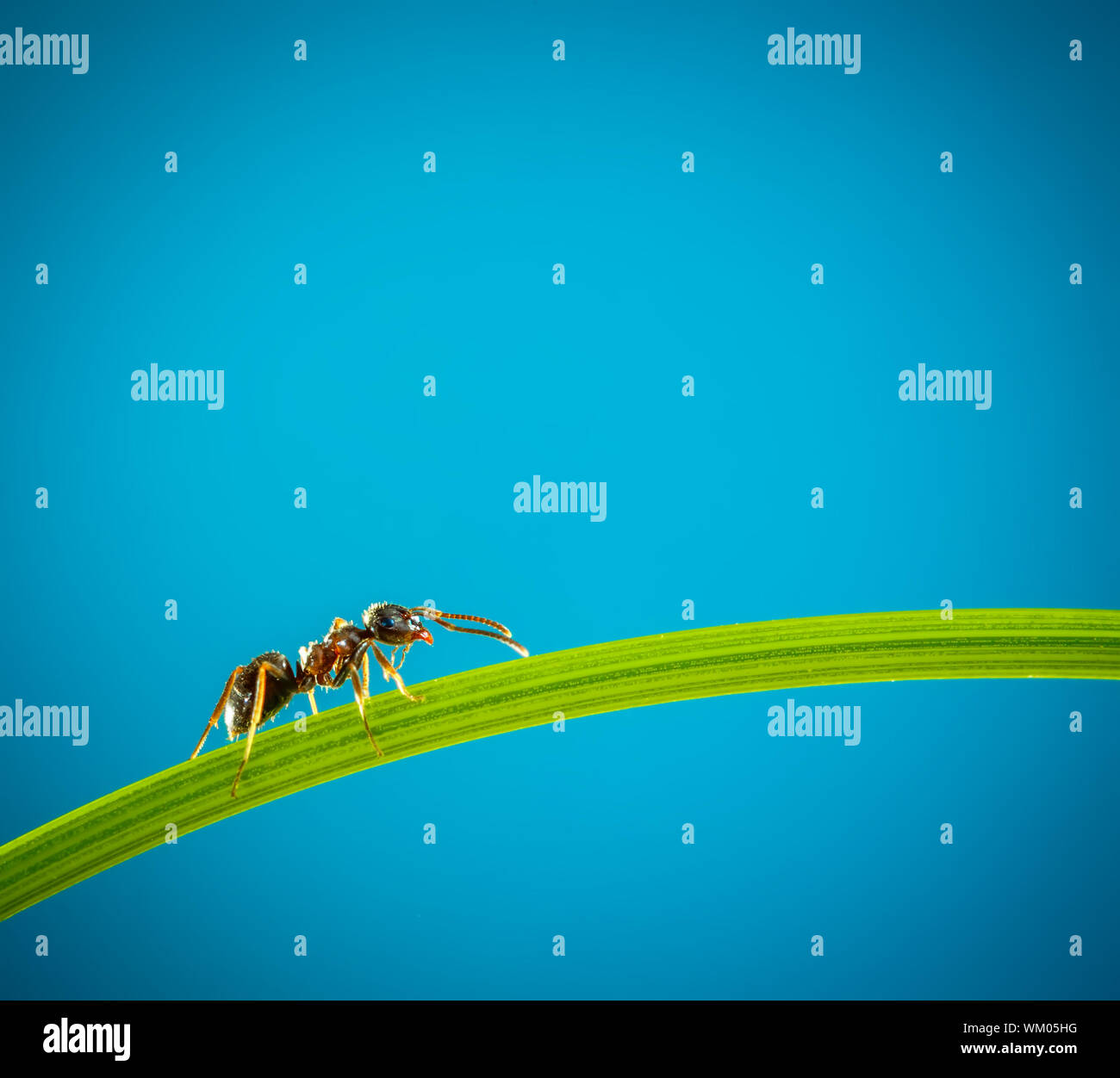 Dinergate hi-res stock photography and images - Alamy