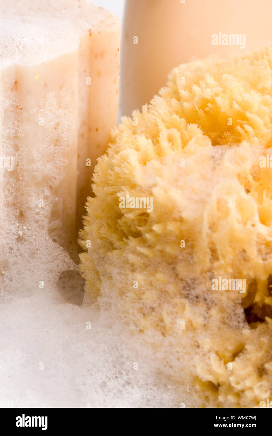 soap, natural sponge and foam closeup Stock Photo - Alamy