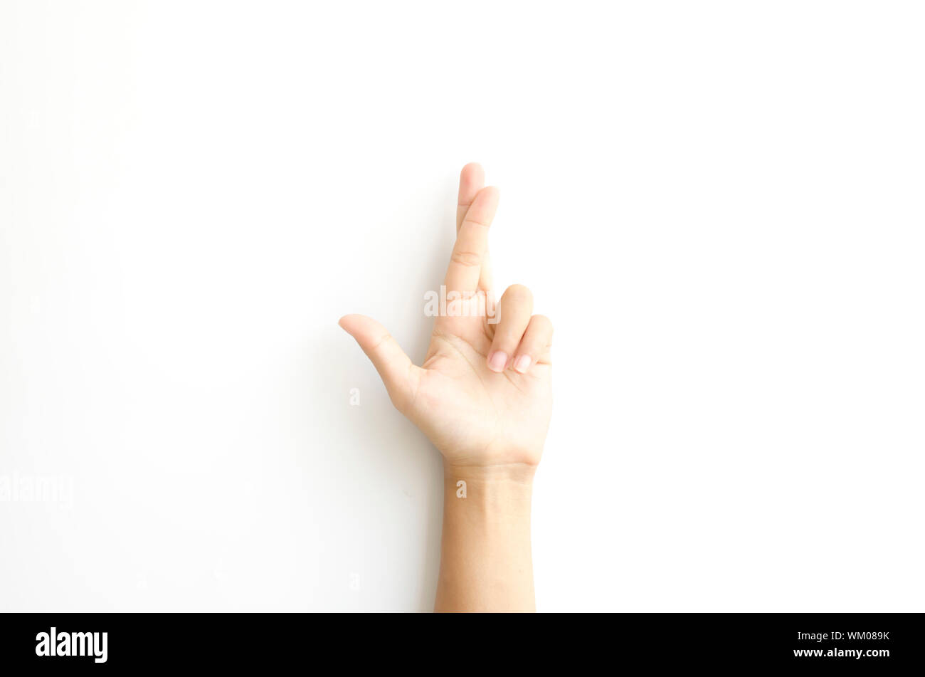 Woman hands hold sign Stock Photo - Alamy