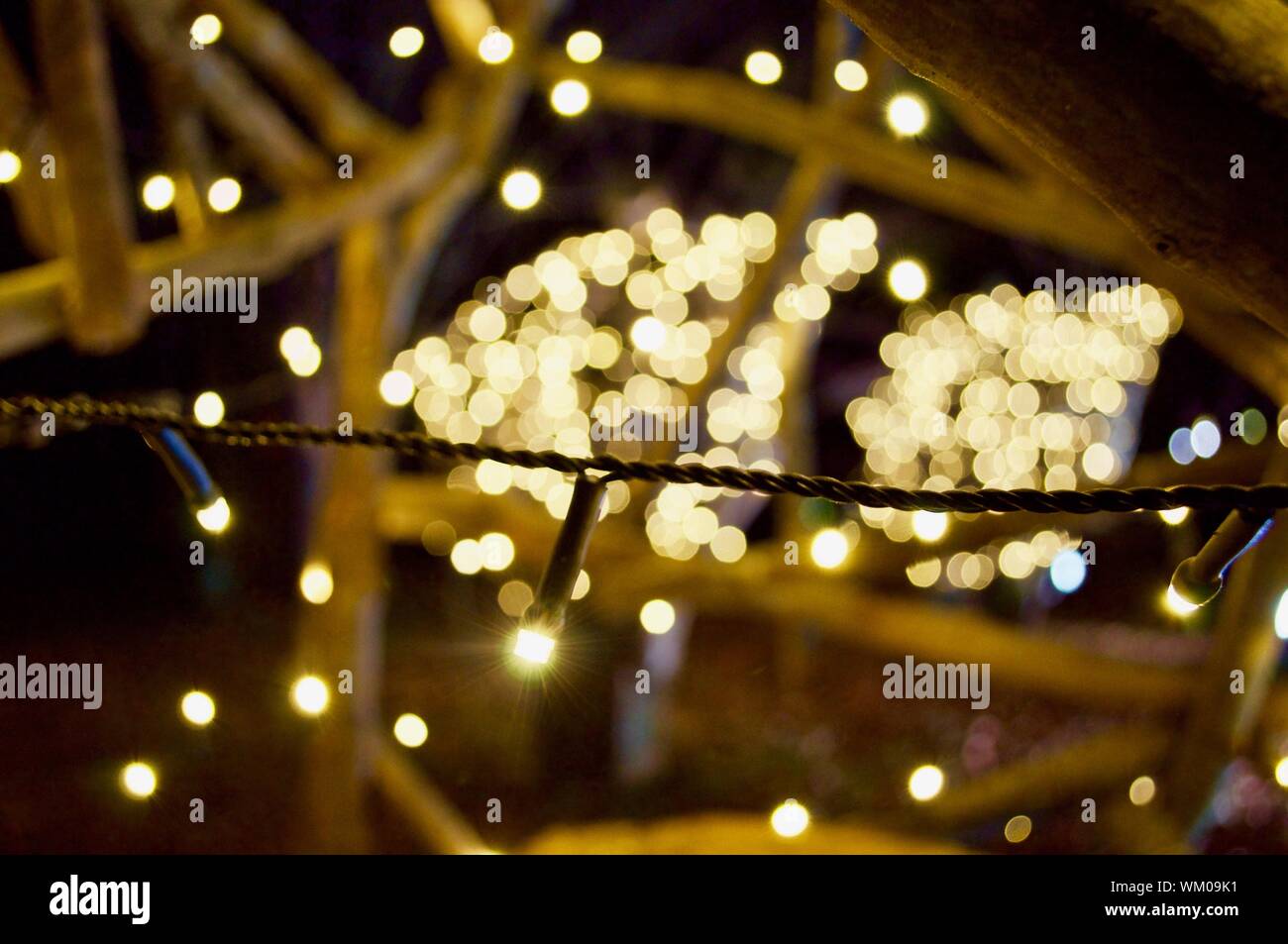 Fairy string light hi-res stock photography and images - Alamy