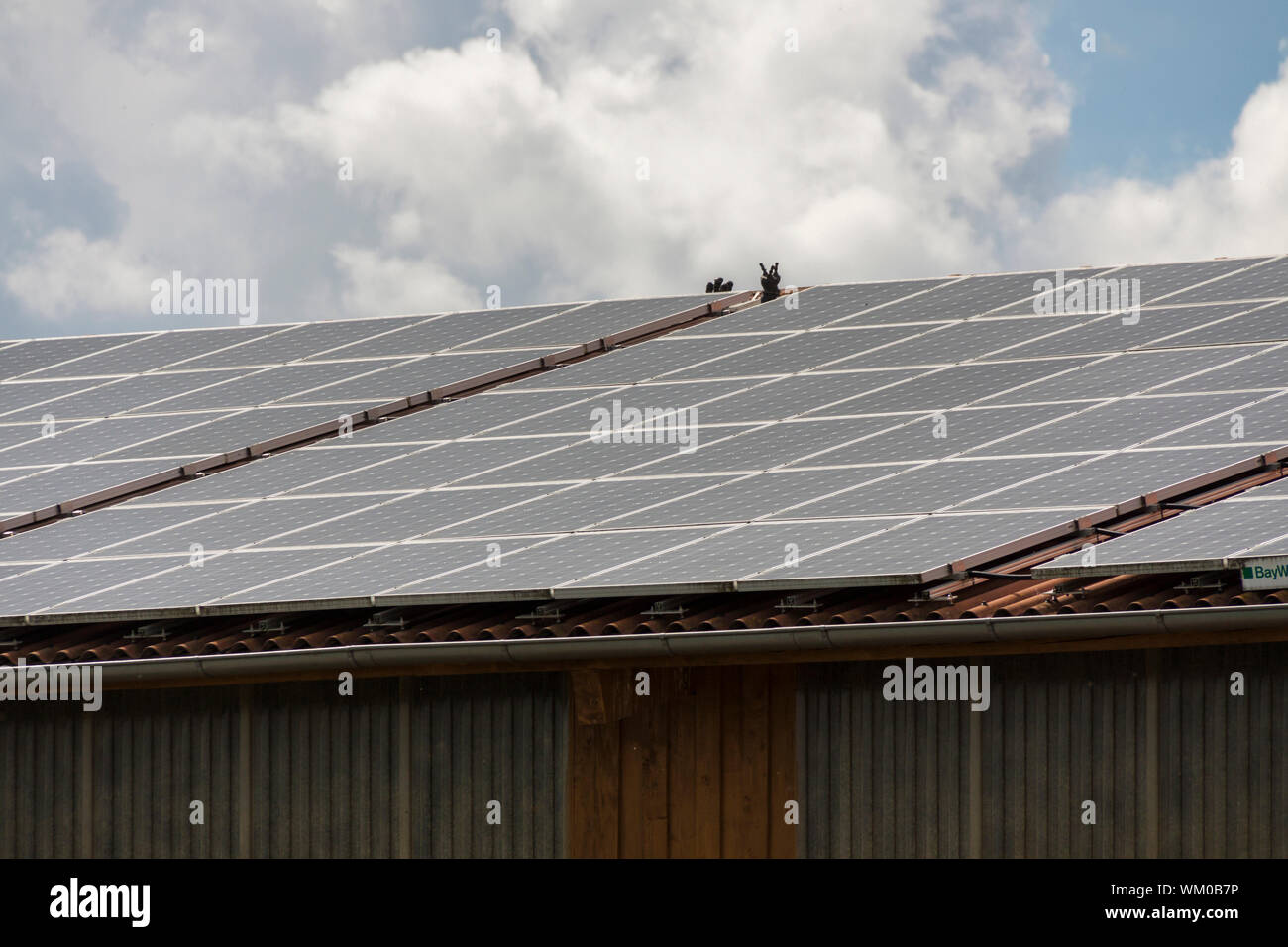 Photovoltaic solar panels on a roof for converting the solar energy of ...