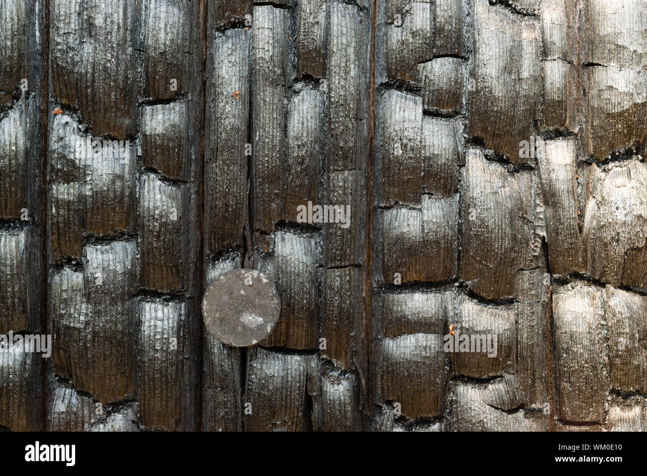 Burnt beyond recognition hi-res stock photography and images - Alamy