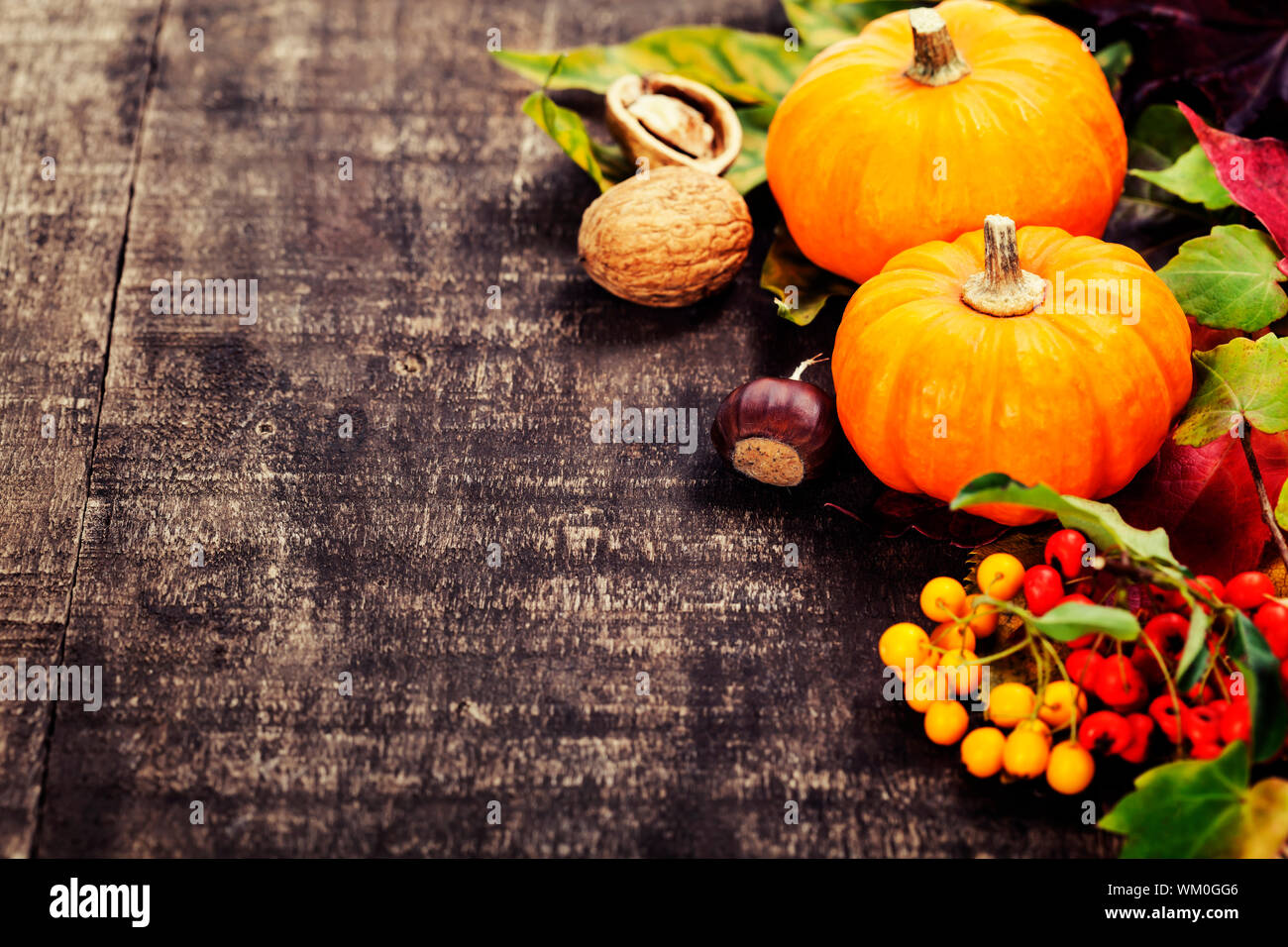 Autumn sale leaves halloween hi-res stock photography and images - Alamy