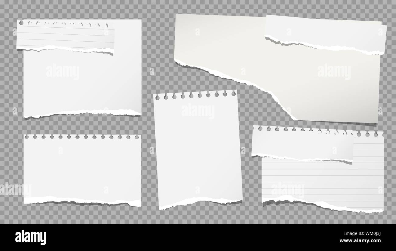Set of torn white note, notebook paper pieces stuck on grey squared ...