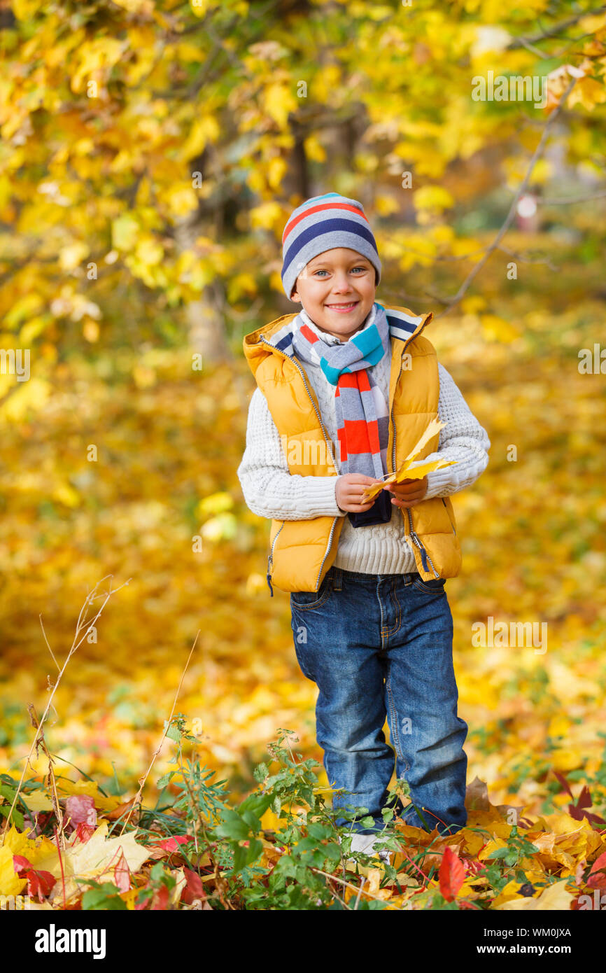 Adorable cute boy with autumn leaves in the beautiful park Stock Photo ...