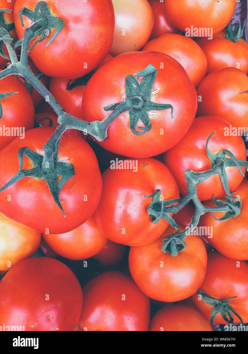 Fresh Tomatoes background Stock Photo - Alamy