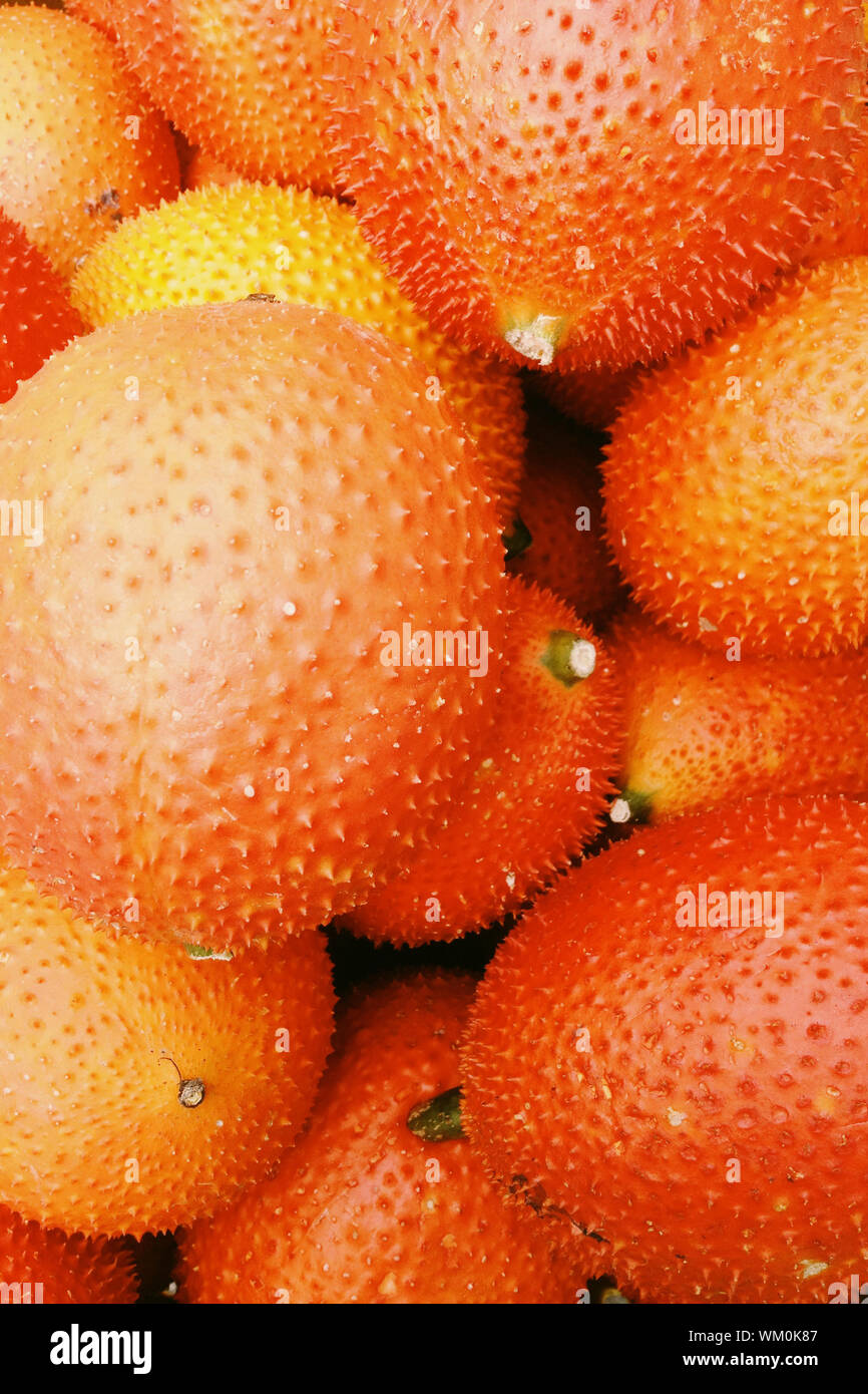 Gac fruit close up hi-res stock photography and images - Alamy