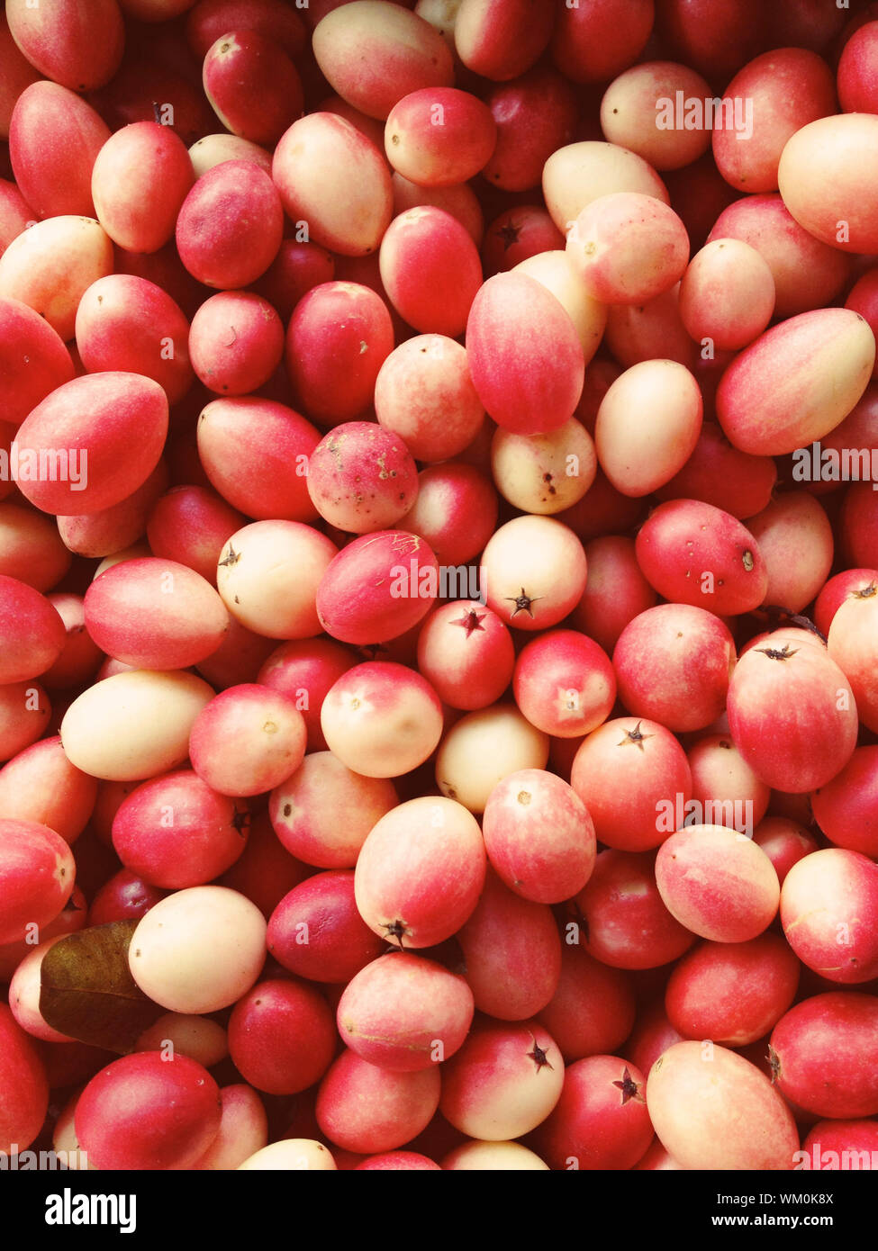Carissa carandas fruit Stock Photo - Alamy