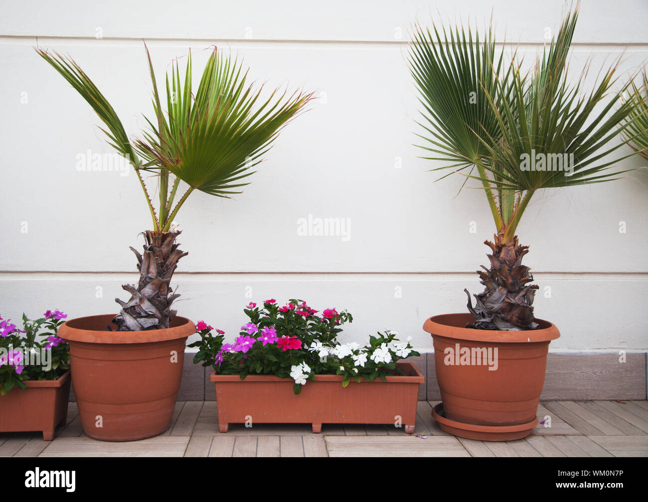 Palms decoration hi-res stock photography and images - Alamy