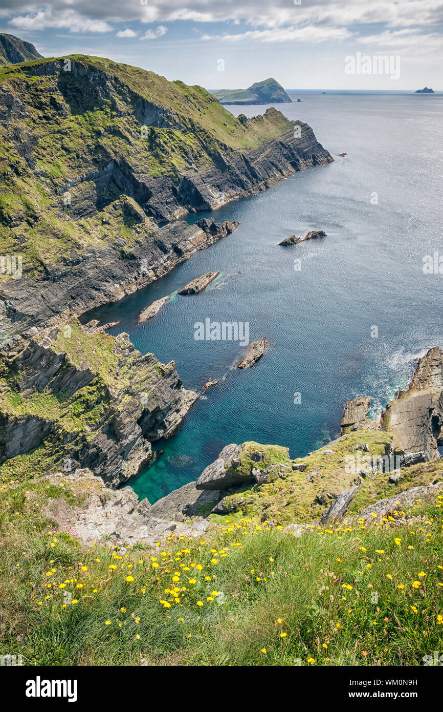 An image of a view from Reencaheragh to Skellig Island Ireland Stock ...