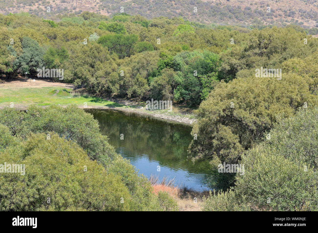 Bloemfontein botanical gardens hi-res stock photography and images - Alamy