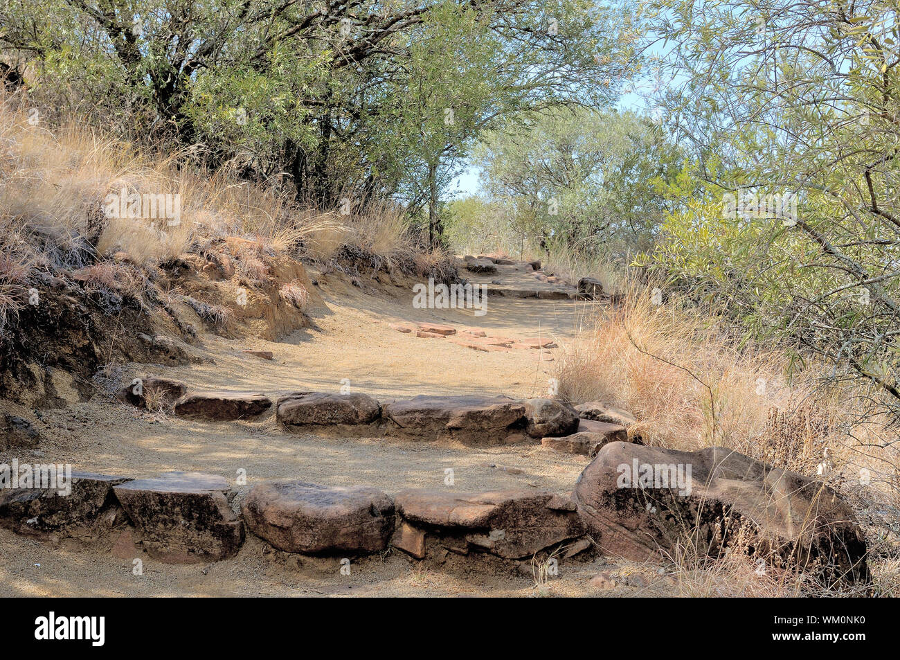 Footpath in the Free State Botanical Gardens in Bloemfontein, South ...