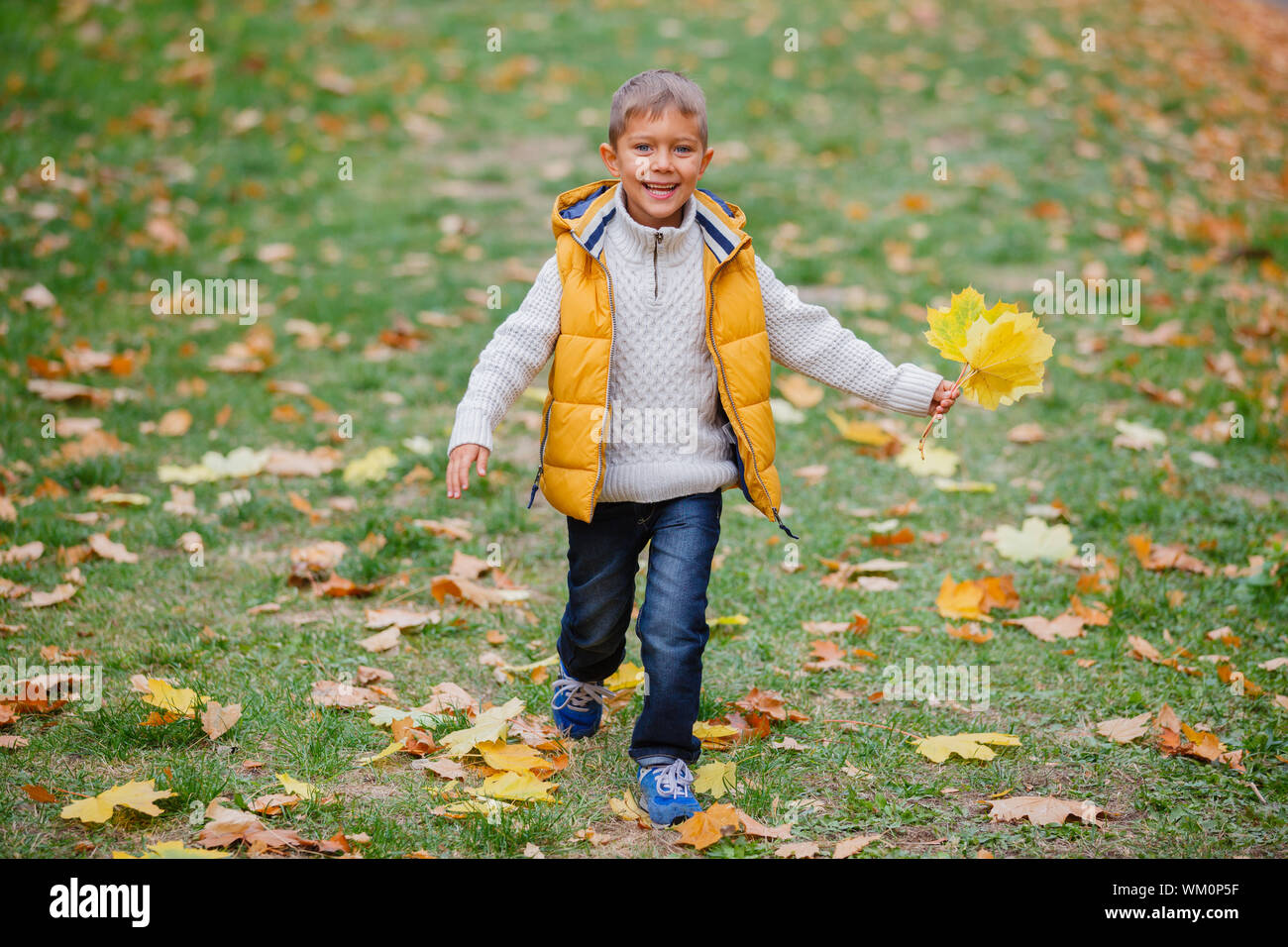 Portrait of Adorable cute boy with autumn leaves in the beautiful park ...