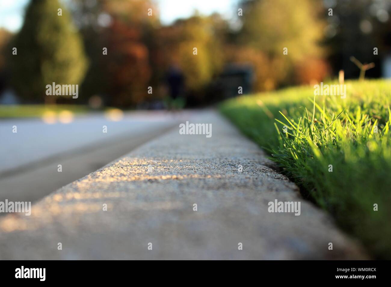 Sidewalk grass hi-res stock photography and images - Alamy