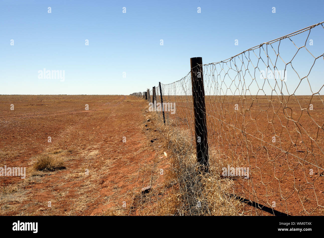 Australian outback Dingo fence Stock Photo - Alamy