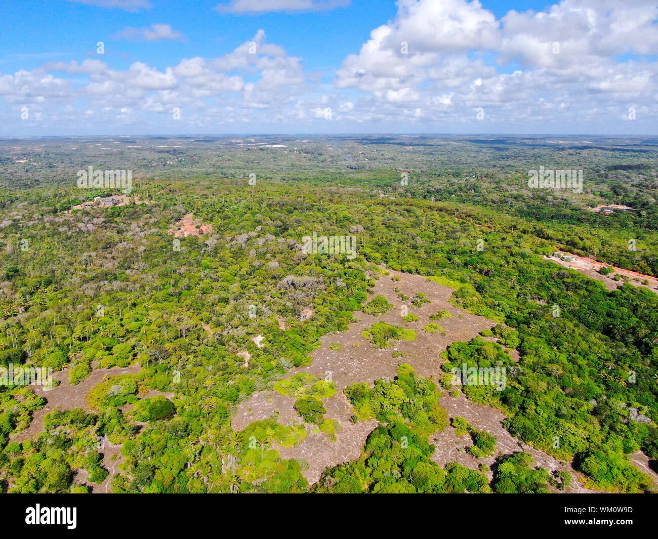 Aerial view of tropical forest, jungle in Praia Do Forte, Brazil ...
