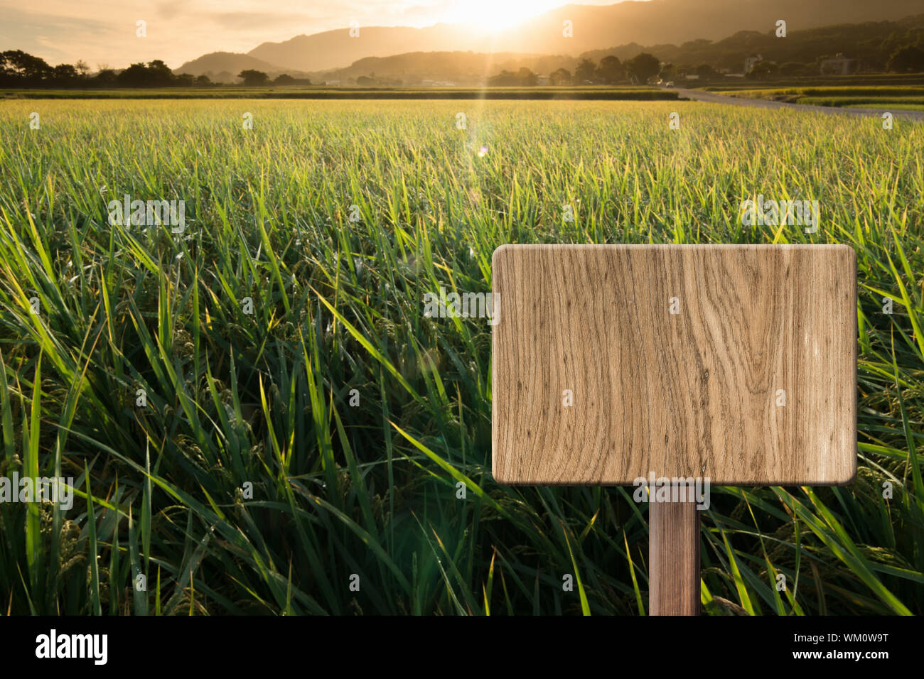 Blank wooden sign on field of farm. Concept of rural, idyllic ...