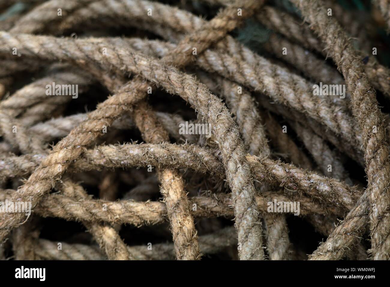 Tangled ropes hi-res stock photography and images - Alamy