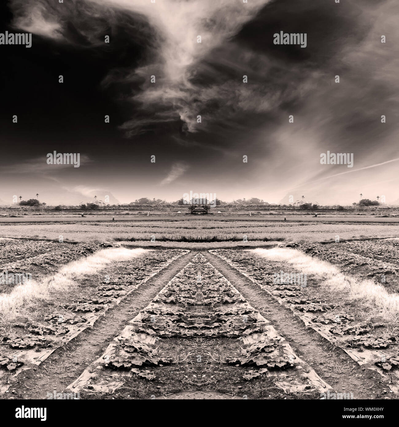 Sepia Tone Landscape Stock Photos & Sepia Tone Landscape Stock Images ...