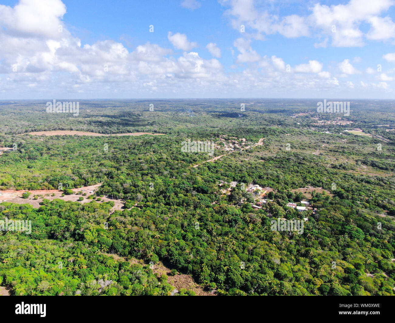 Aerial view of tropical forest, jungle in Praia Do Forte, Brazil ...