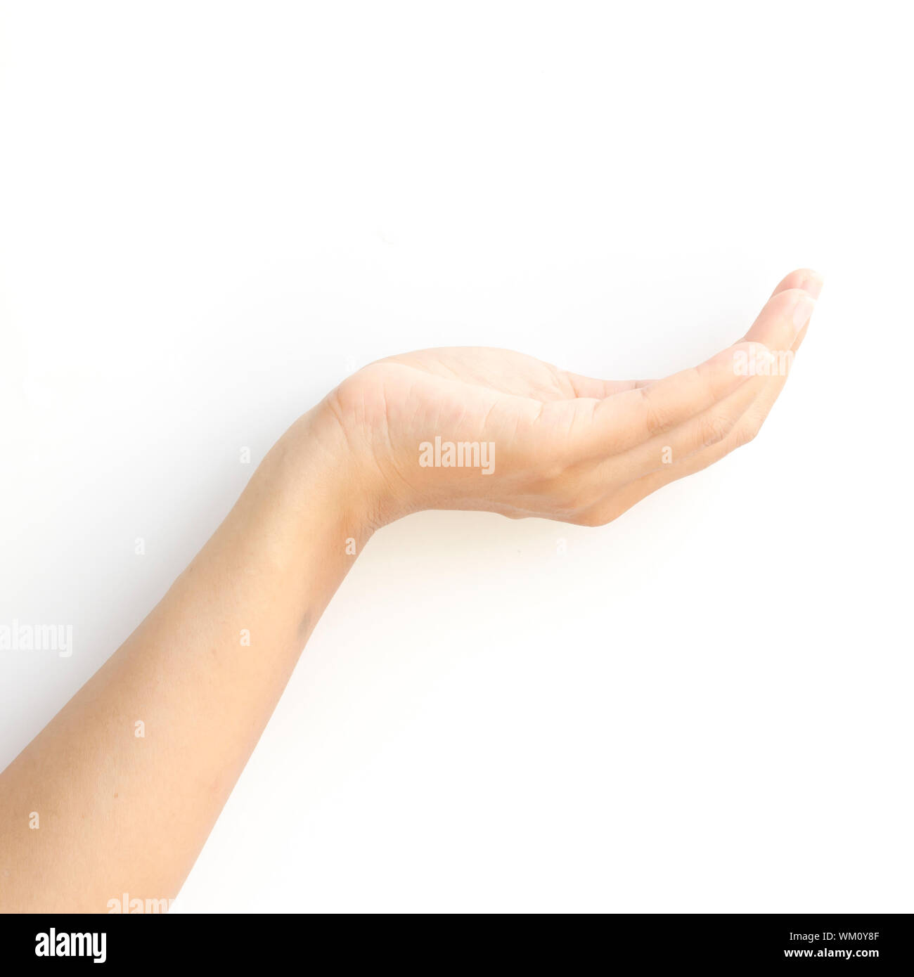 asia female open hand on a white background Stock Photo - Alamy