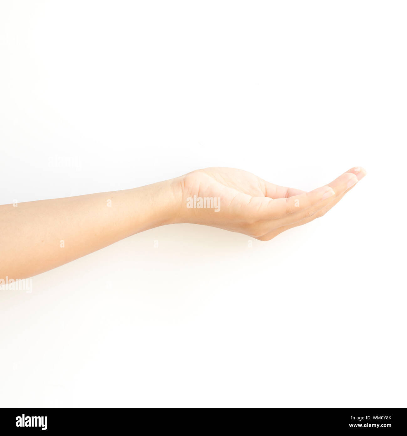 female open hand Stock Photo - Alamy