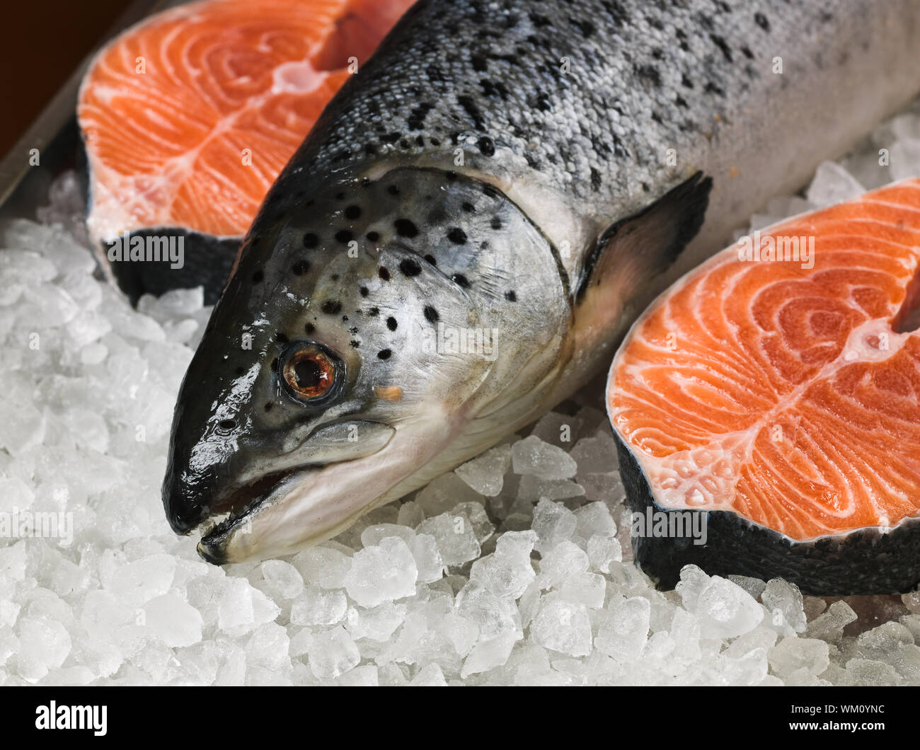 Fresh red fish on ice Stock Photo - Alamy