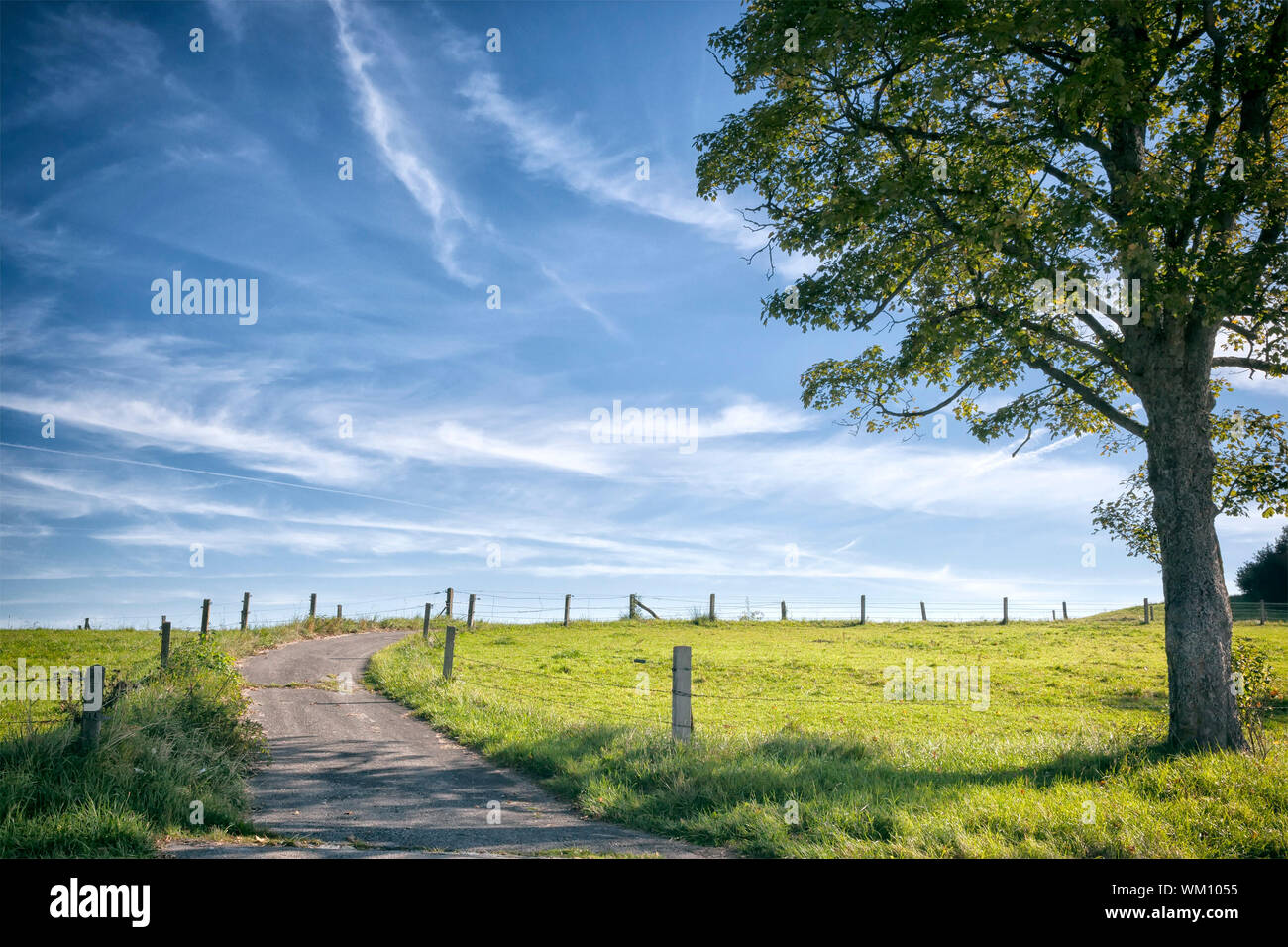 An image of a nice autumn landscape Stock Photo - Alamy