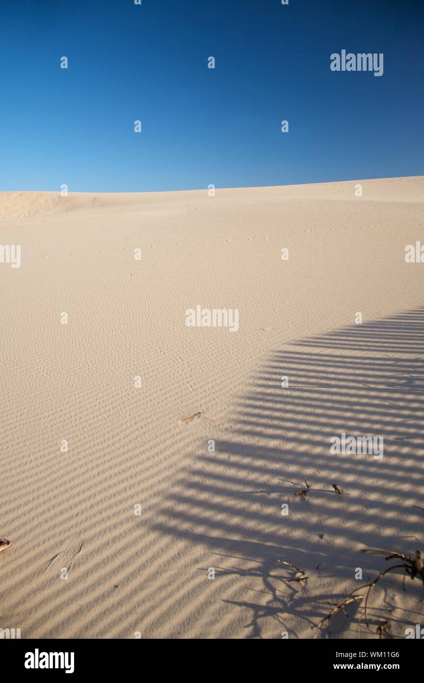 sand dunes at valdevaqueros beach in spain Stock Photo - Alamy