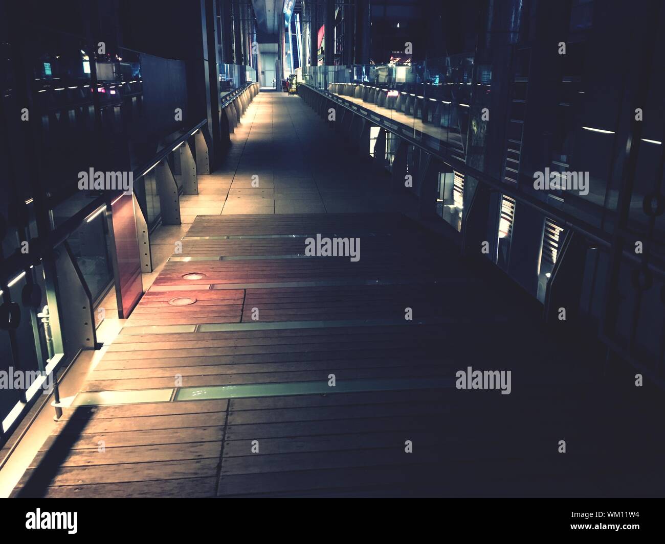 Pathway to the wood hi-res stock photography and images - Alamy