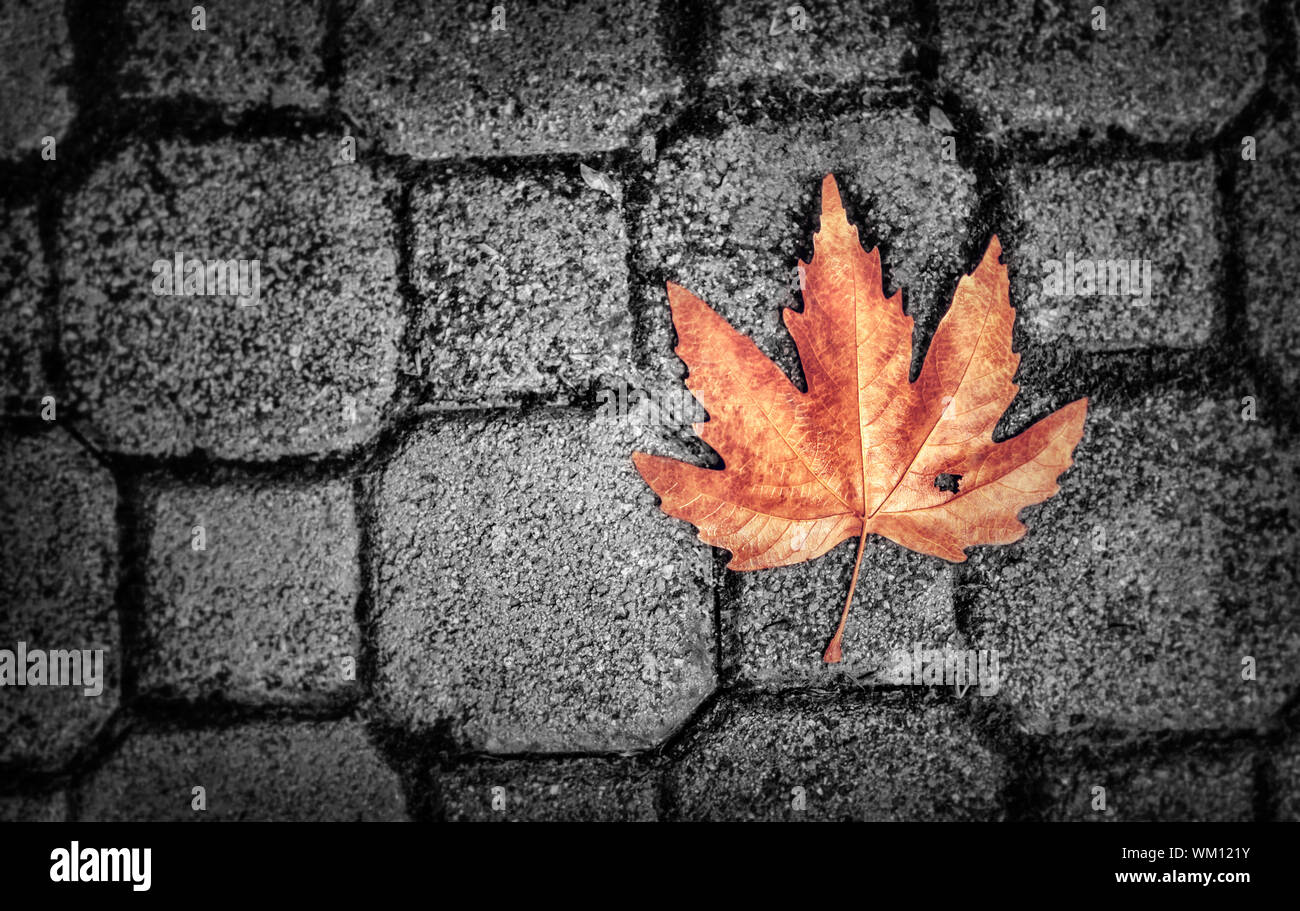 Abstract autumn background hi-res stock photography and images - Alamy