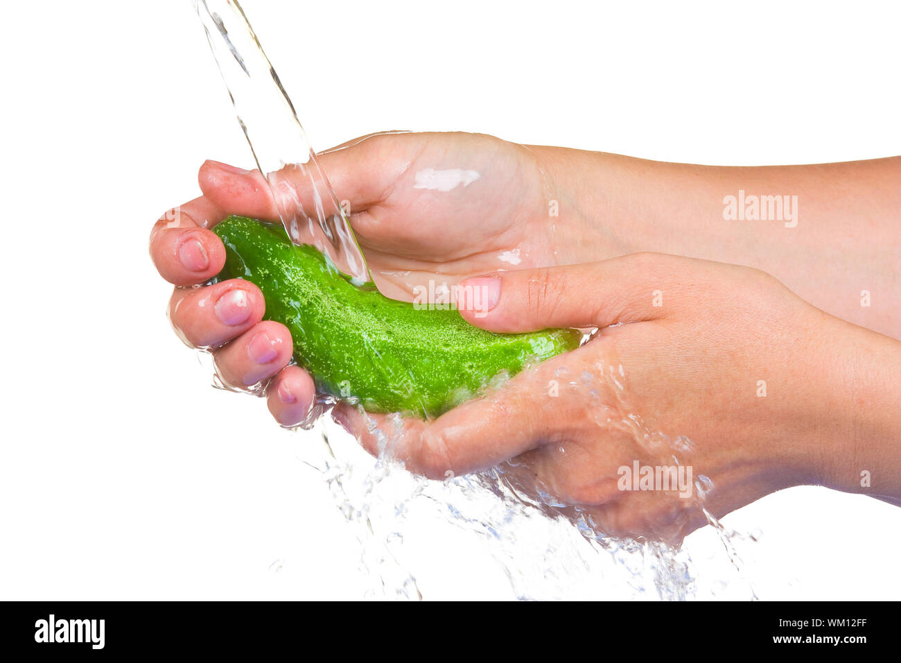 wash the cucumber in the hands isolated on white background Stock Photo ...