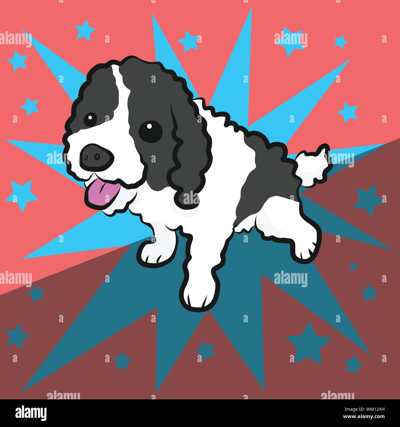Black Shih Tzu High Resolution Stock Photography and Images - Alamy