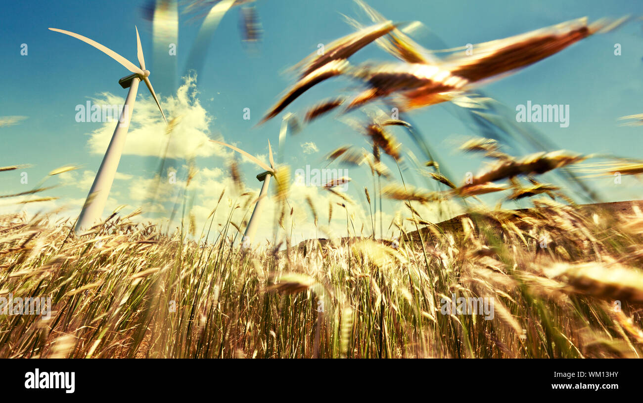 Wind energy concept.Wind turbines and fields moved by wind Stock Photo ...