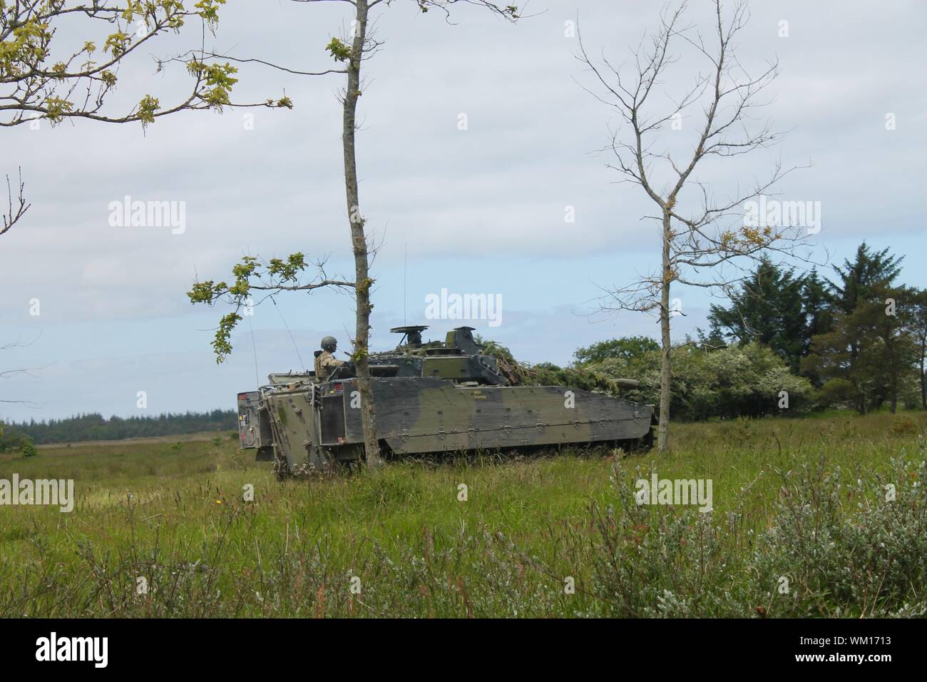 Military tanks hi-res stock photography and images - Alamy