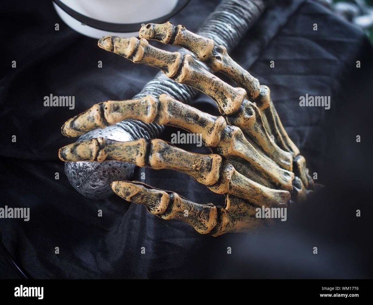Skeleton table hi-res stock photography and images - Alamy