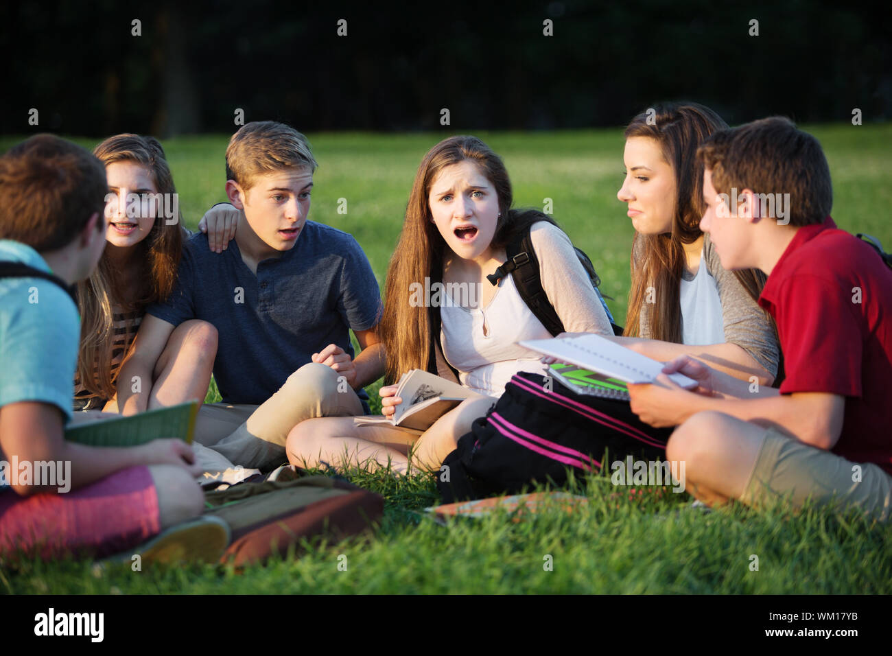 Insulted young female student with friends studying outdoors Stock ...
