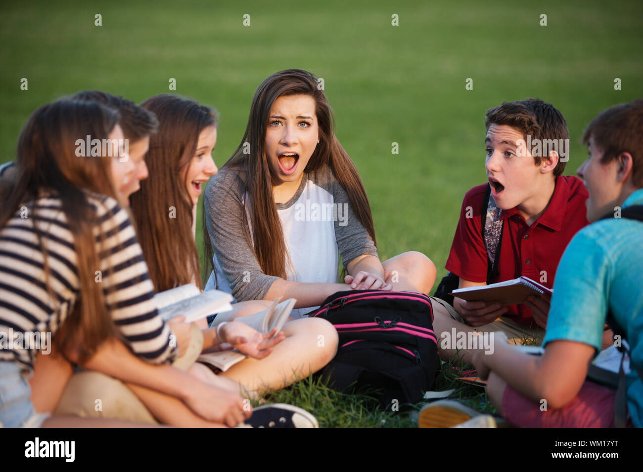 Shocked female teenage student sitting with friends Stock Photo - Alamy