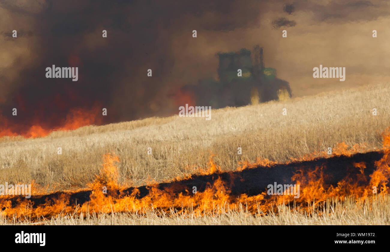 Crops after a fire hi-res stock photography and images - Alamy