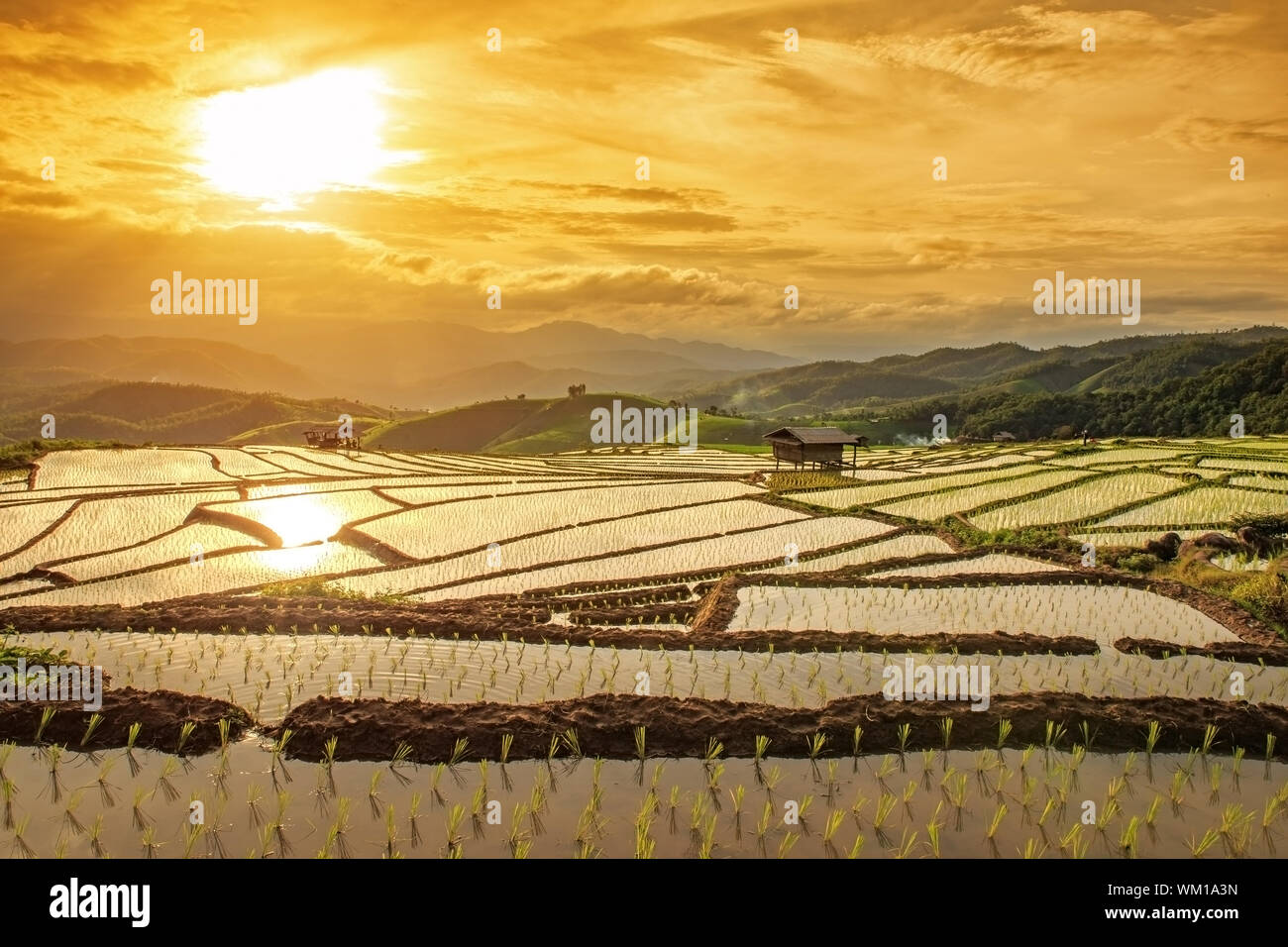 Terraced rice paddy hi-res stock photography and images - Alamy