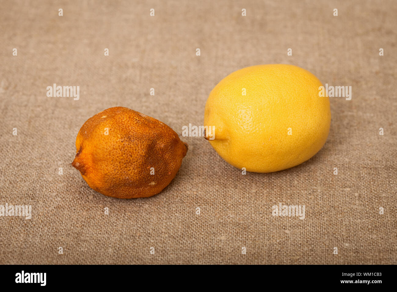Two fruit against a canvas - bad and good lemons Stock Photo - Alamy