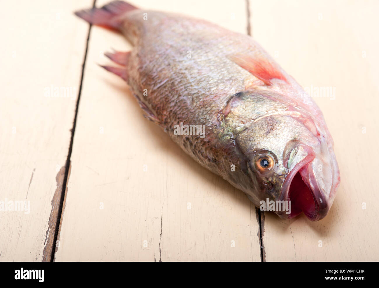fresh whole raw fish Stock Photo - Alamy