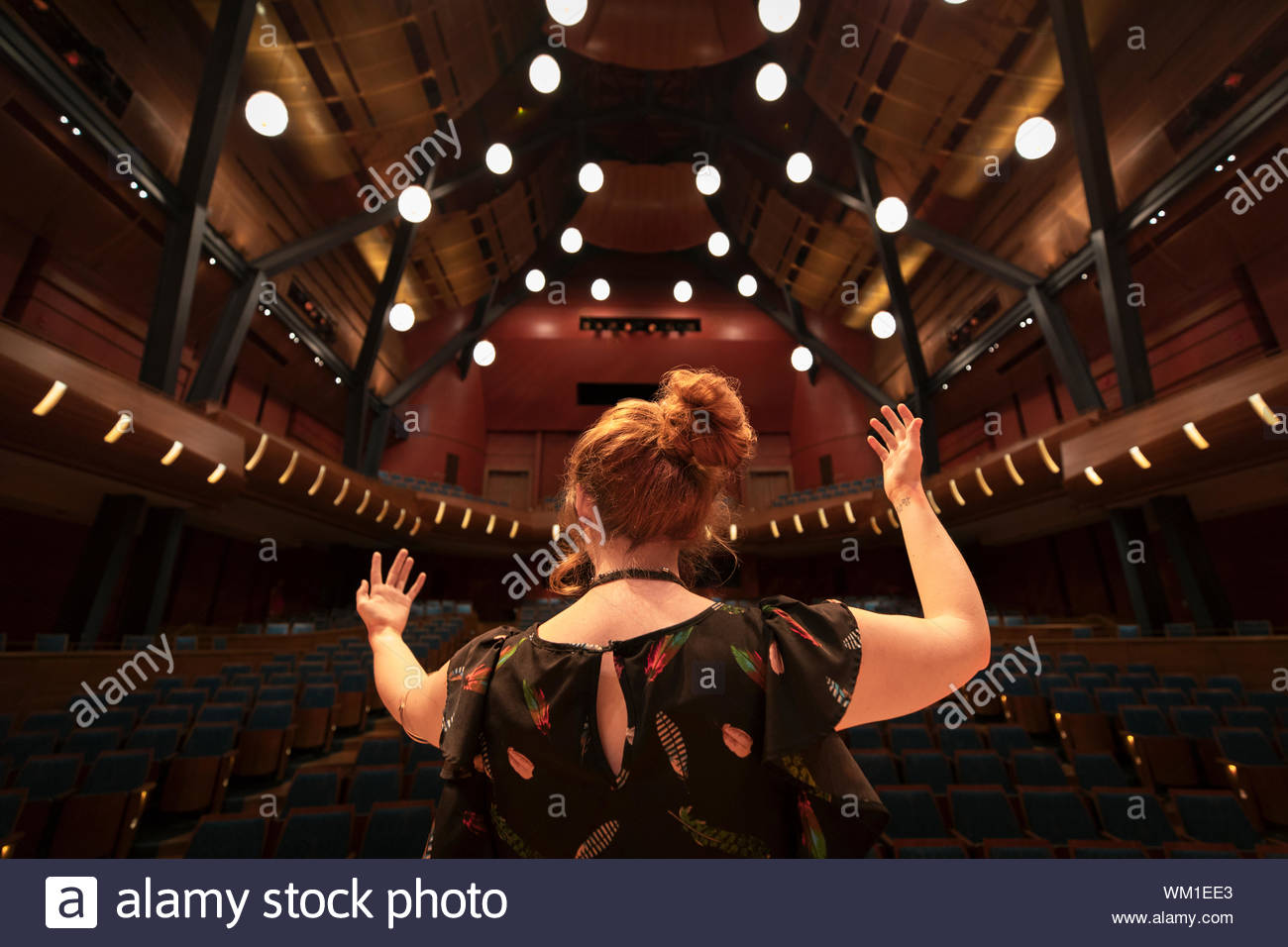 Performer concert rear view hi-res stock photography and images - Alamy
