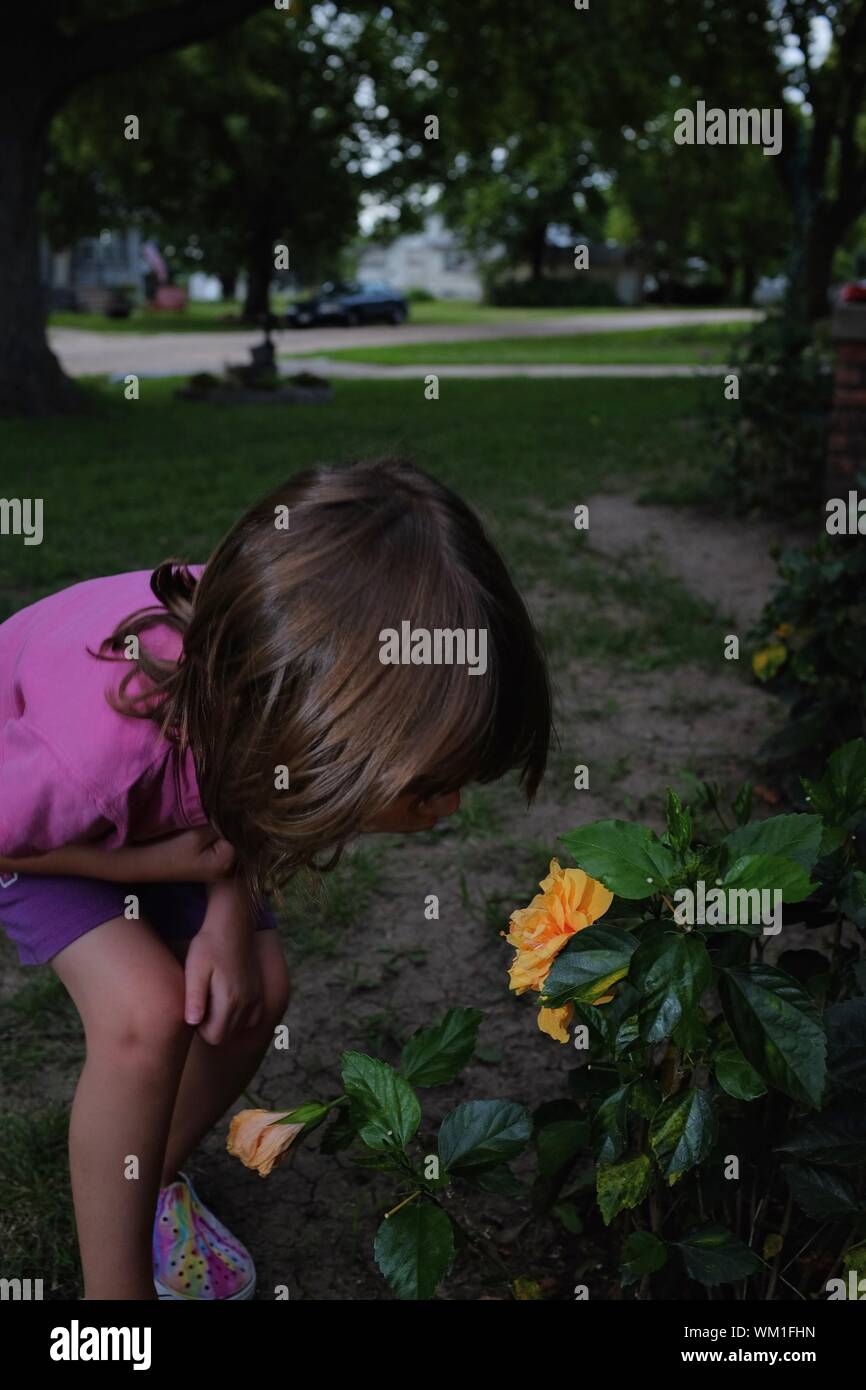 Child smelling flower hi-res stock photography and images - Alamy