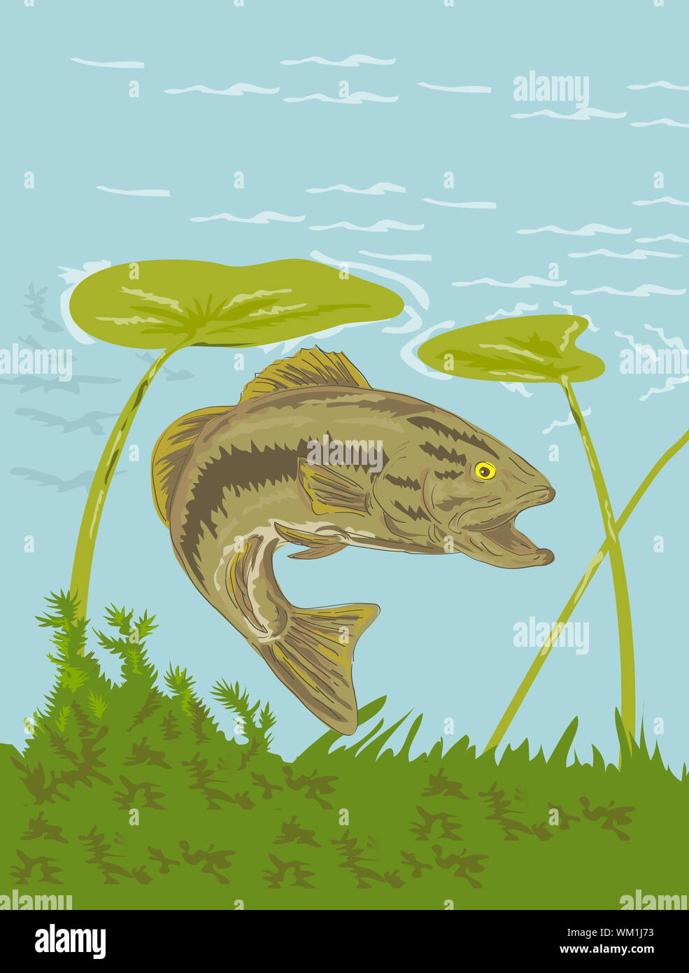 illustration of a largemouth bass fish swimming underwater Stock Photo ...