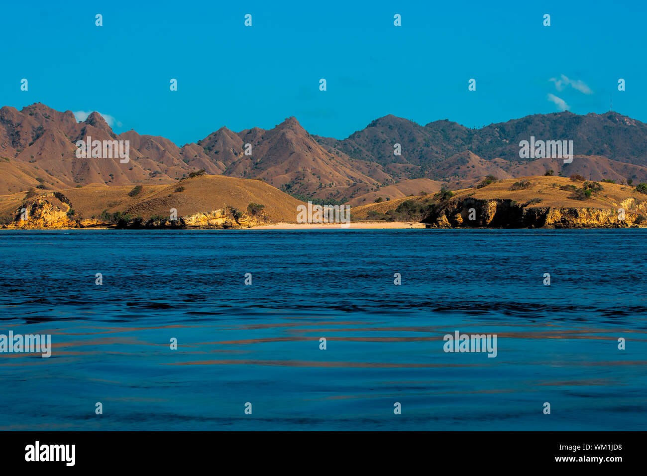 The beautiful nature of Komodo national park Stock Photo - Alamy