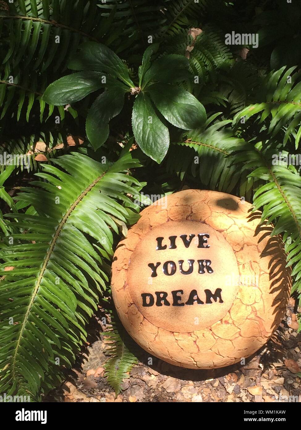 Plants In Sphere High Resolution Stock Photography and Images - Alamy